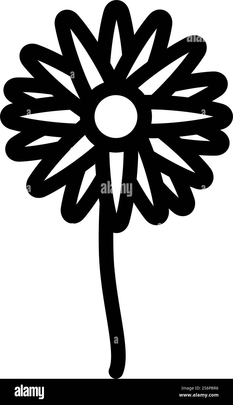 Gerbera daisy growing Black and White Stock Photos & Images - Alamy