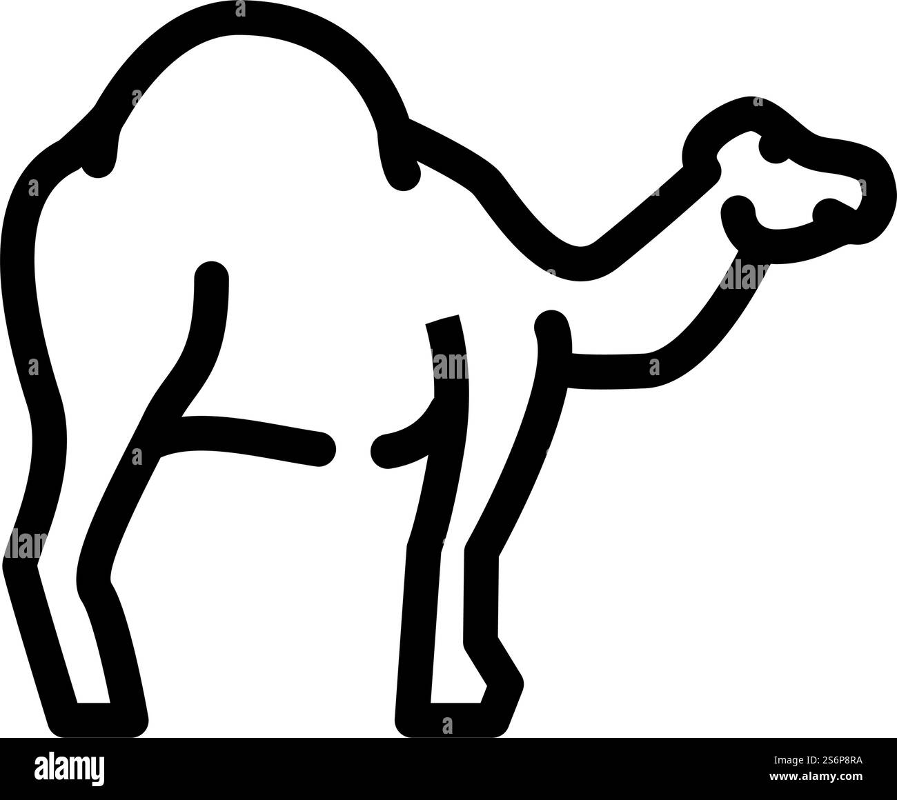camel animal line icon vector. camel animal sign. isolated contour ...
