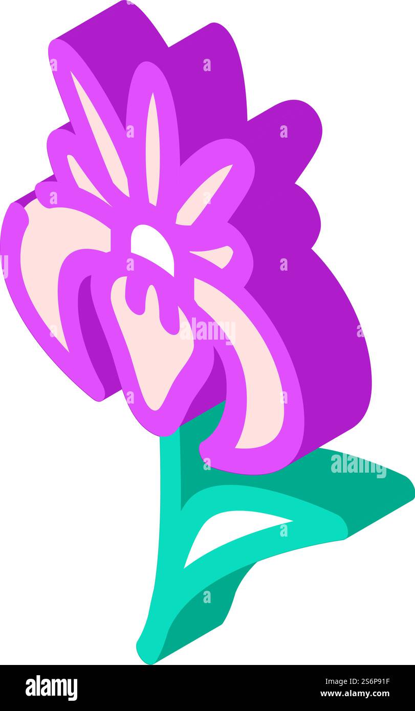 iris flower isometric icon vector. iris flower sign. isolated symbol ...