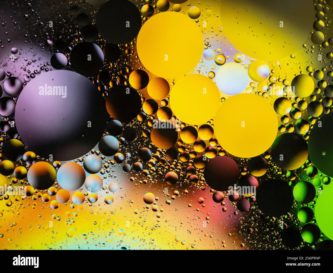 Vivid imagery of colorful oil bubbles forming unique patterns on water ...