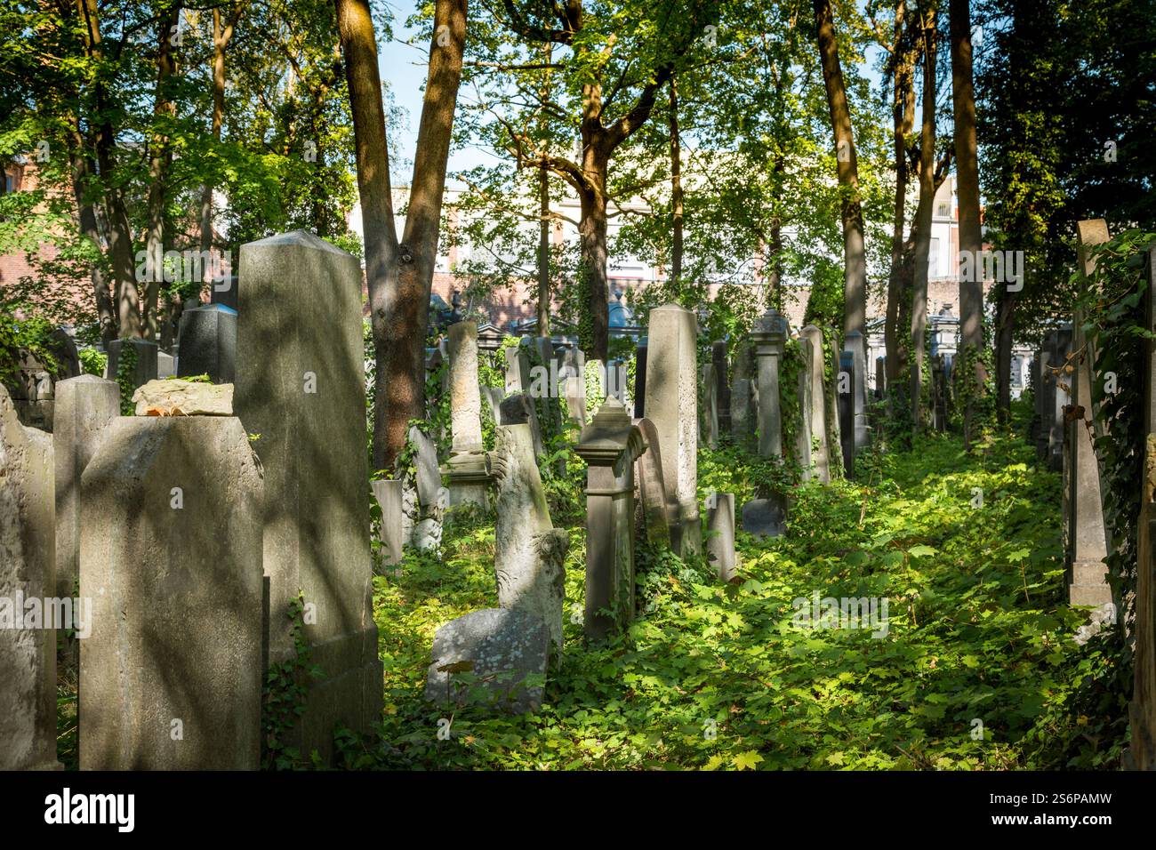 Jewish cemetery gravestones grave hi-res stock photography and images ...