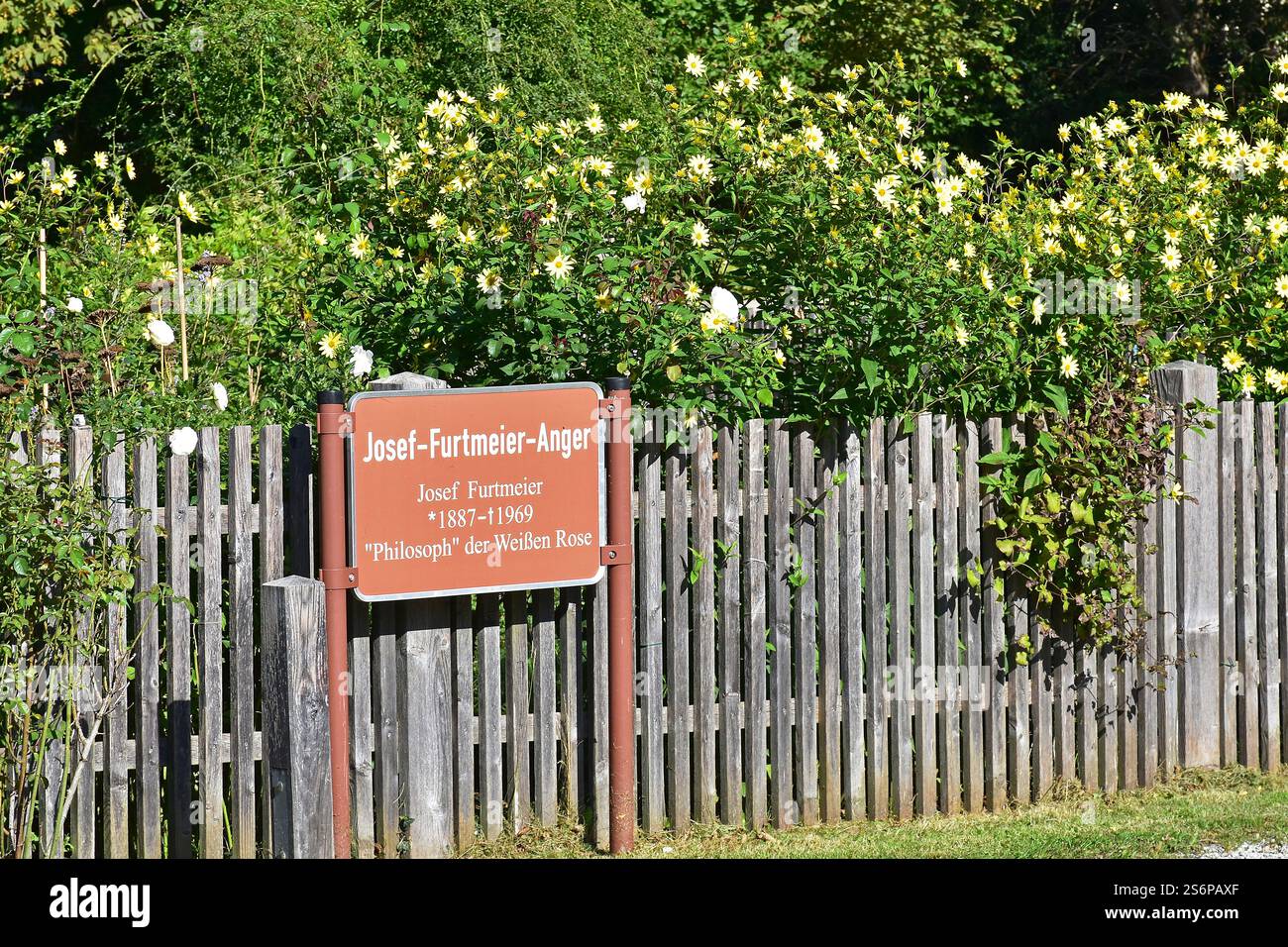 Josef-Furtmeier-Anger in memory of the "philosopher" of the White Rose ...