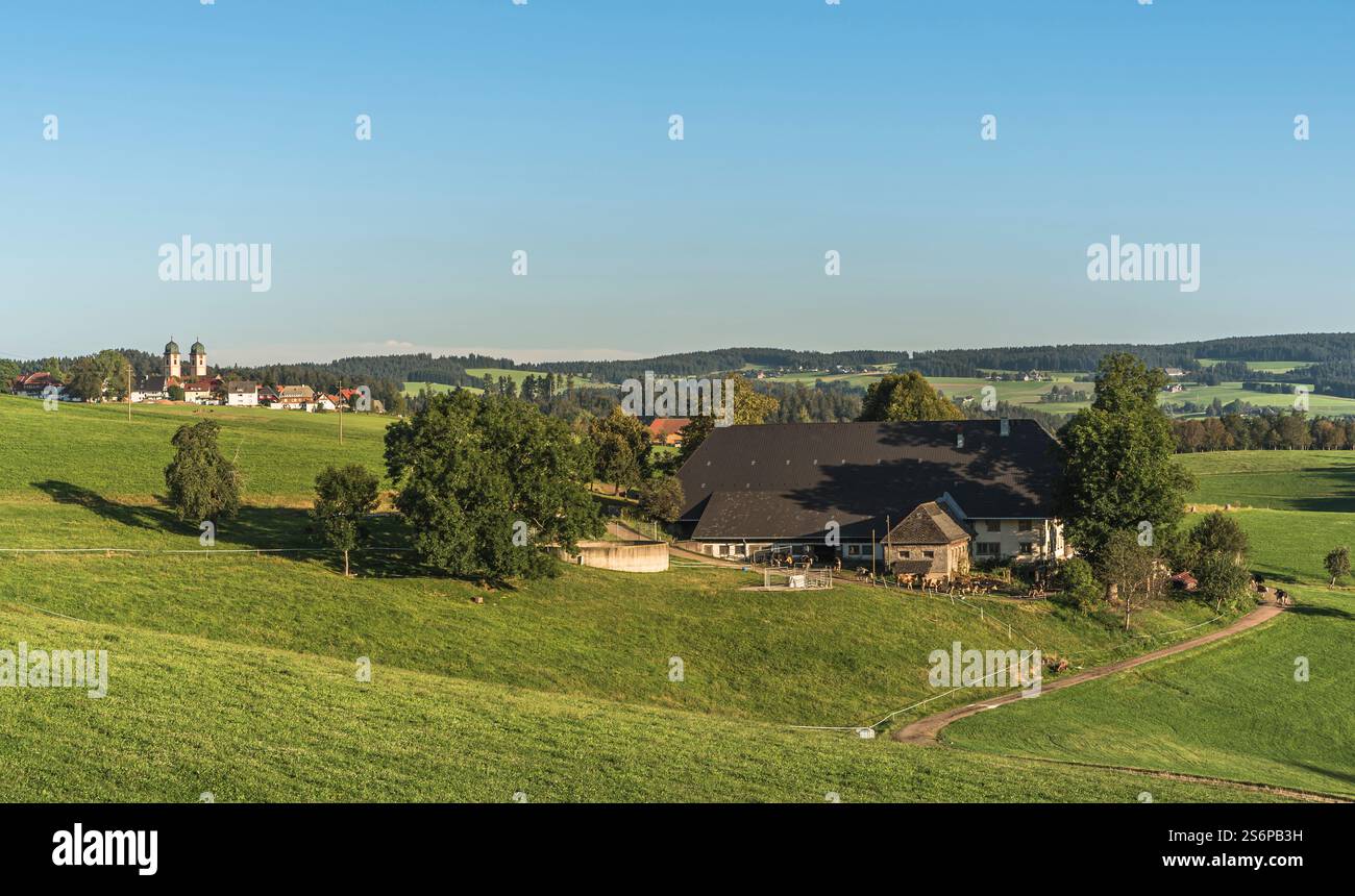 Traditional farmhouse in the Black Forest with the famous St. Märgen ...