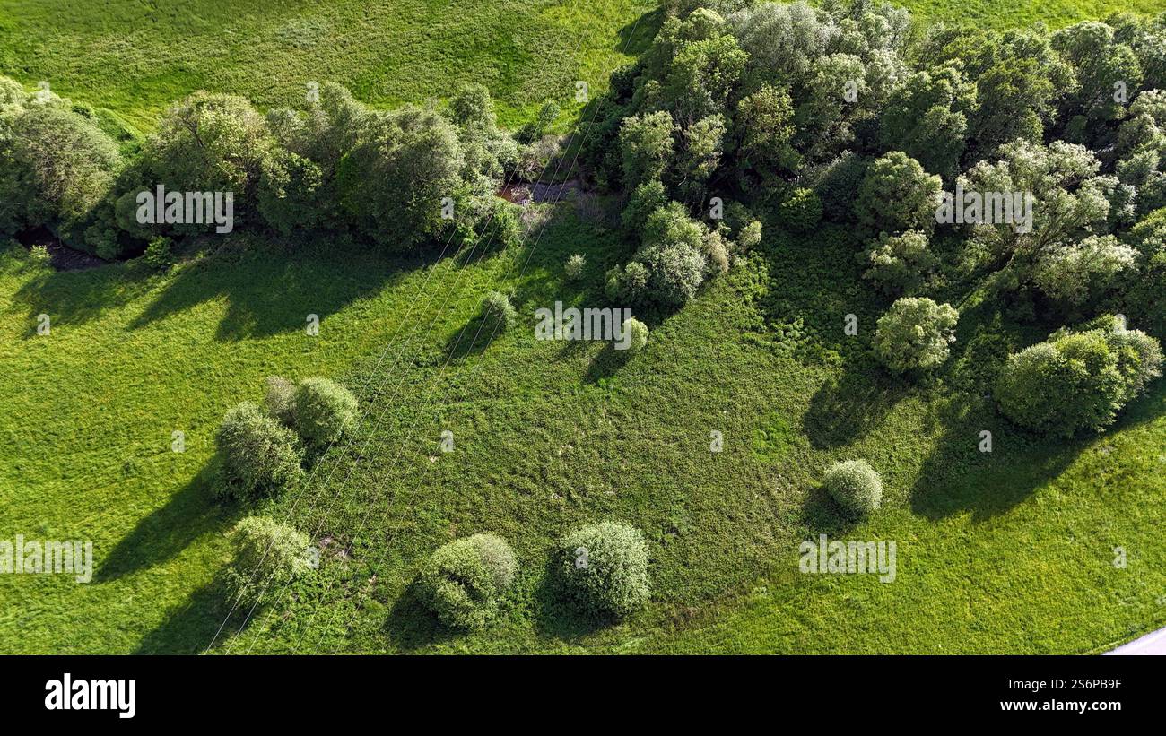 Aerial shot grass fields trees hi-res stock photography and images - Alamy