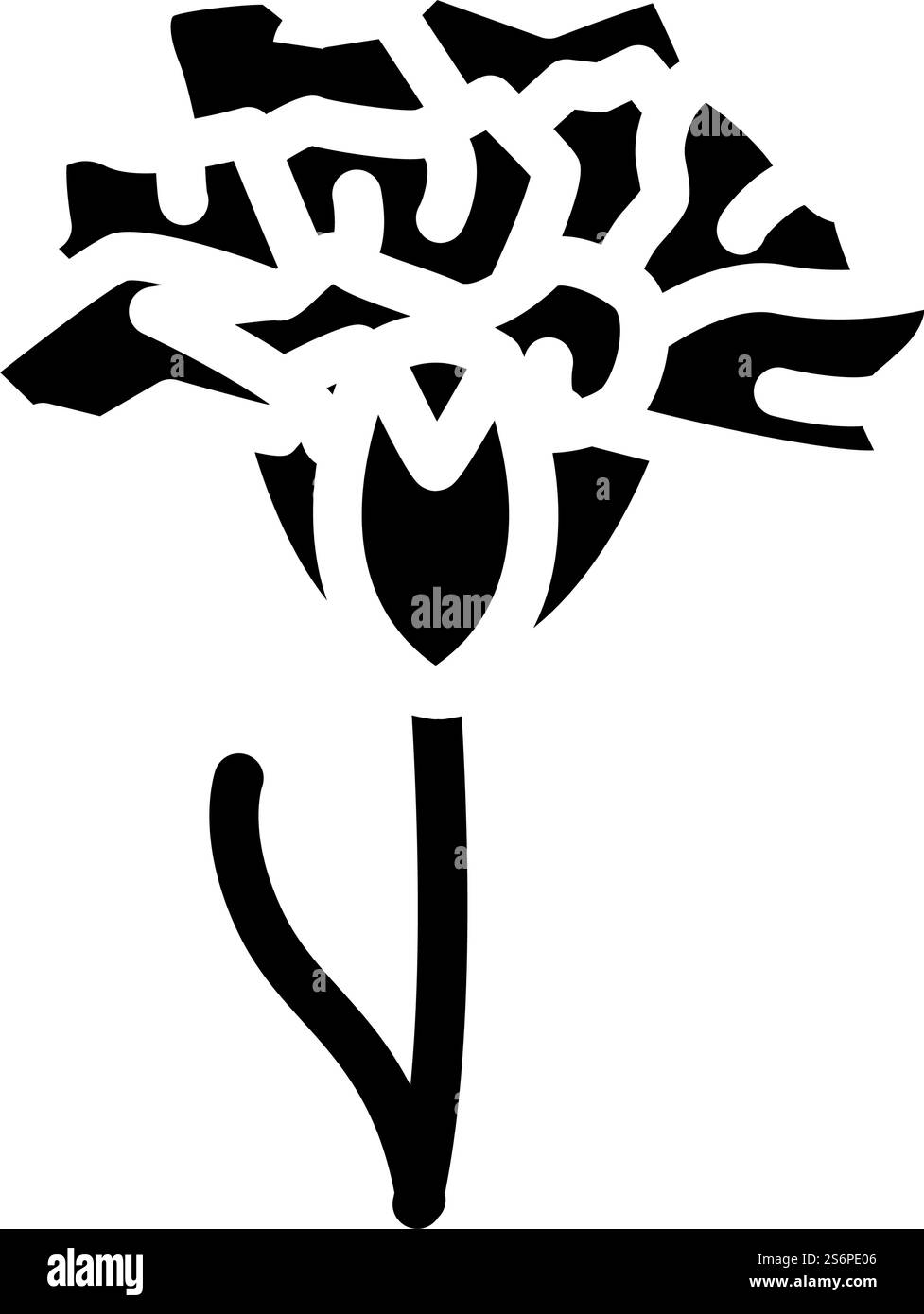 carnation flower glyph icon vector. carnation flower sign. isolated ...