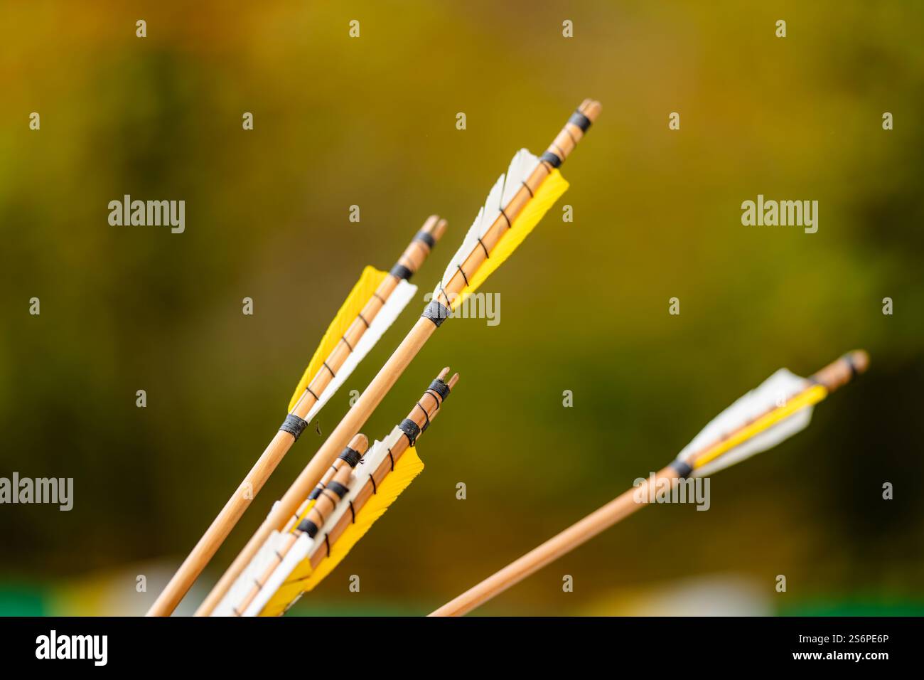 A group of arrows are shown with yellow and white tips. Concept of ...