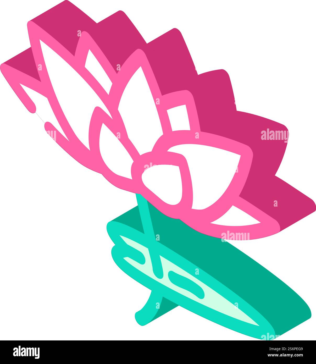 lotus flower isometric icon vector. lotus flower sign. isolated symbol ...