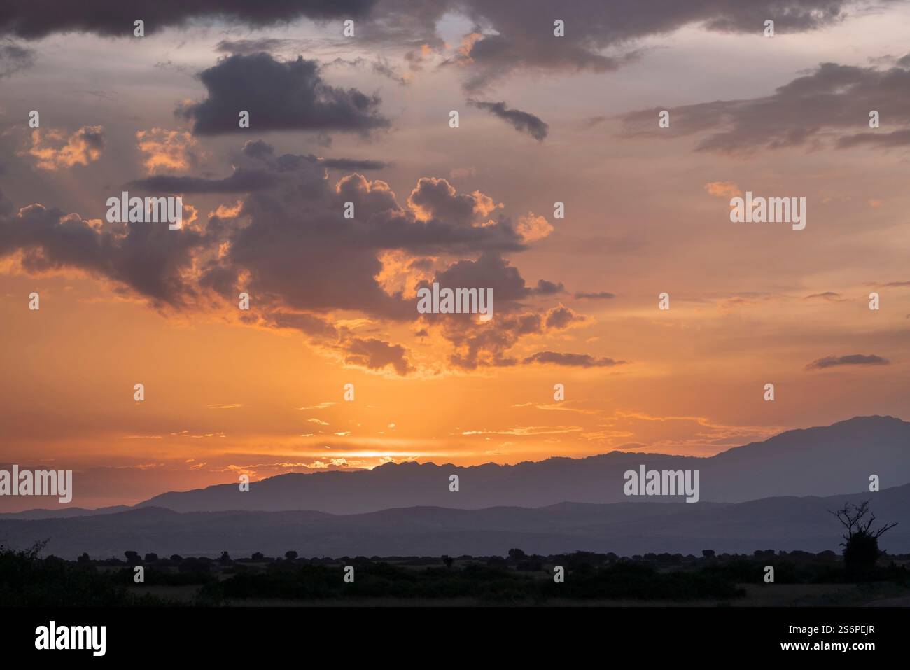 Panoramic image of the landscape of Queen Elizabeth National Park at ...