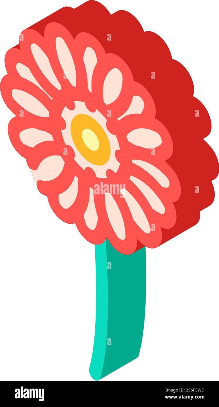 gerbera flower isometric icon vector. gerbera flower sign. isolated ...