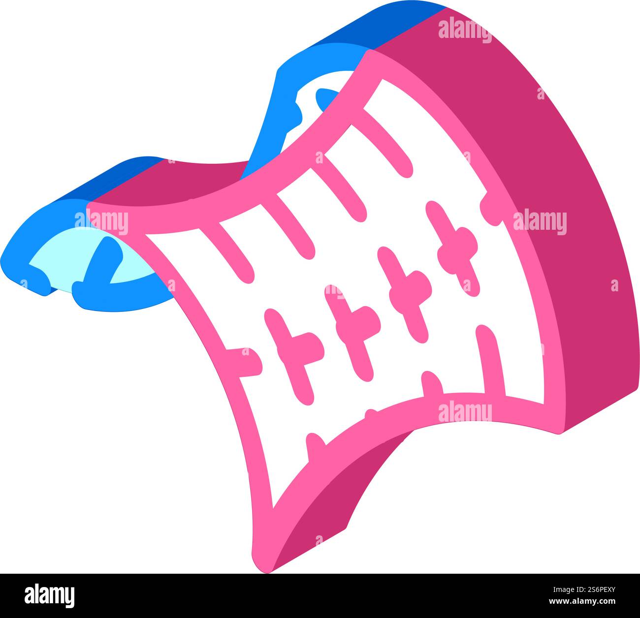 saddle shape of universe isometric icon vector. saddle shape of ...