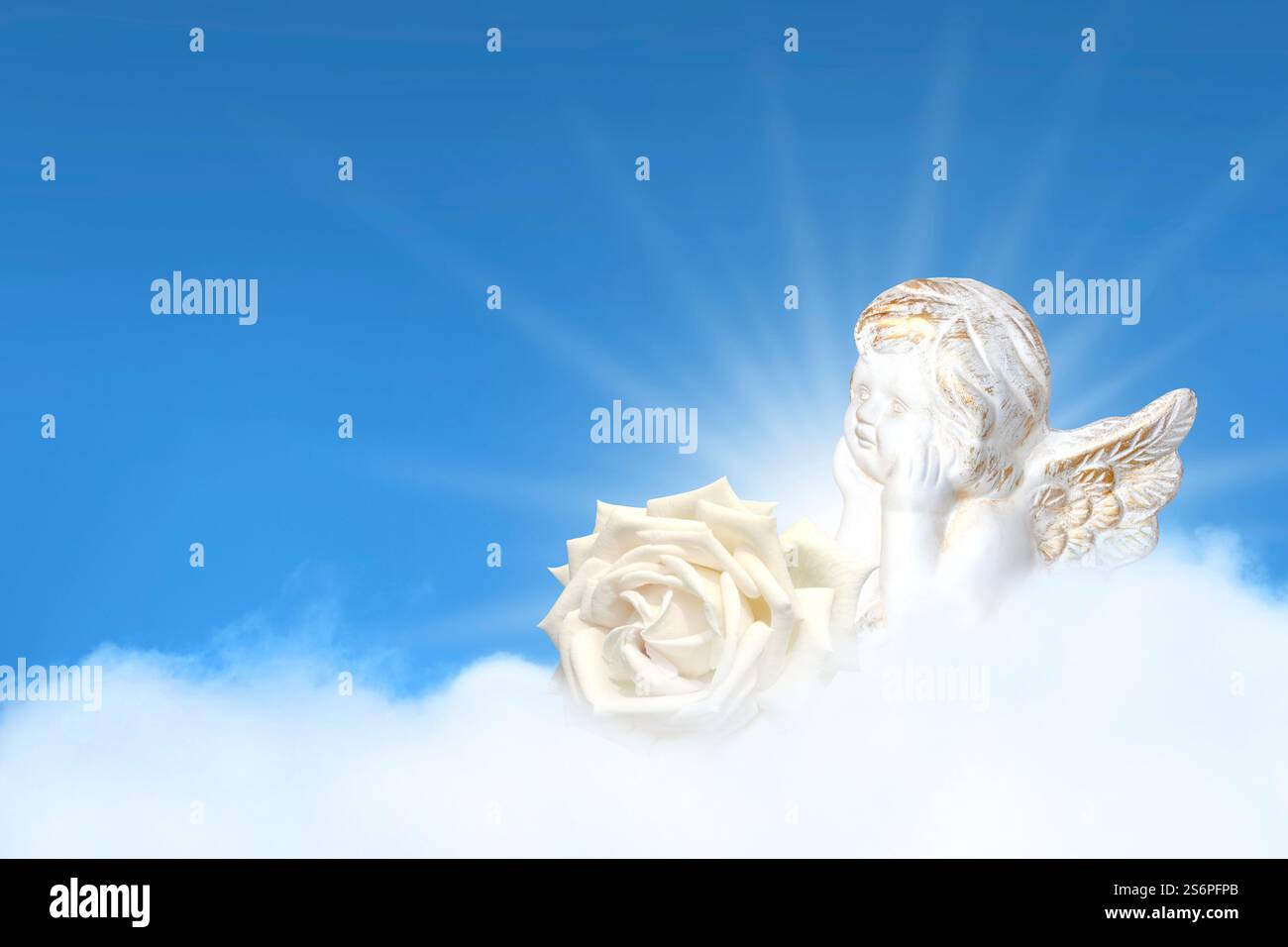 Little angel rose hi-res stock photography and images - Alamy
