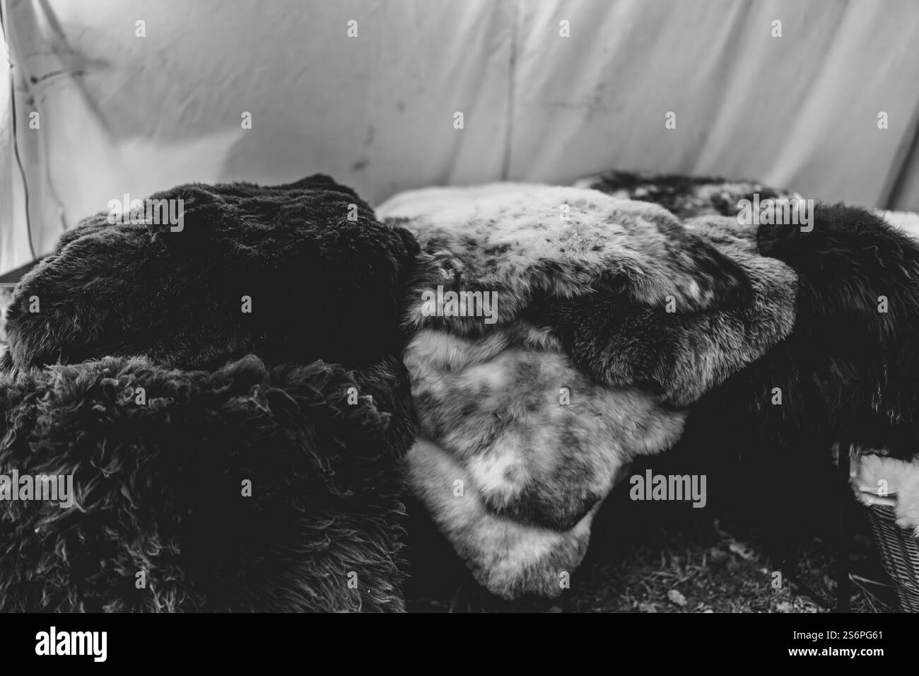 Way variety Black and White Stock Photos & Images - Alamy