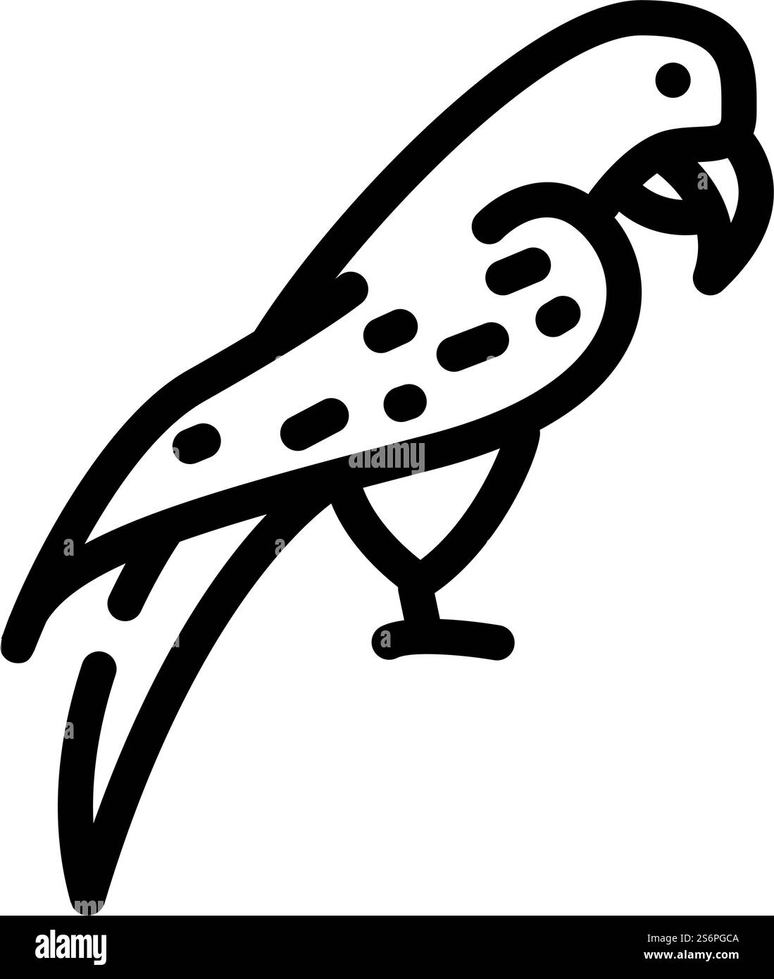 parrot bird line icon vector. parrot bird sign. isolated contour symbol ...