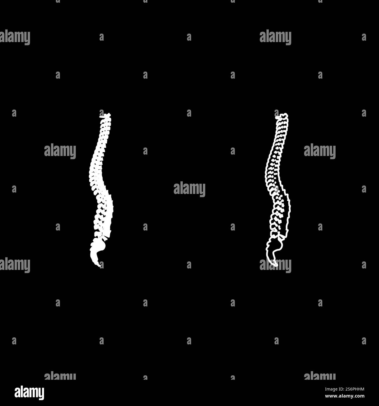 Spinal vertebral column spine backbone icon white color vector ...
