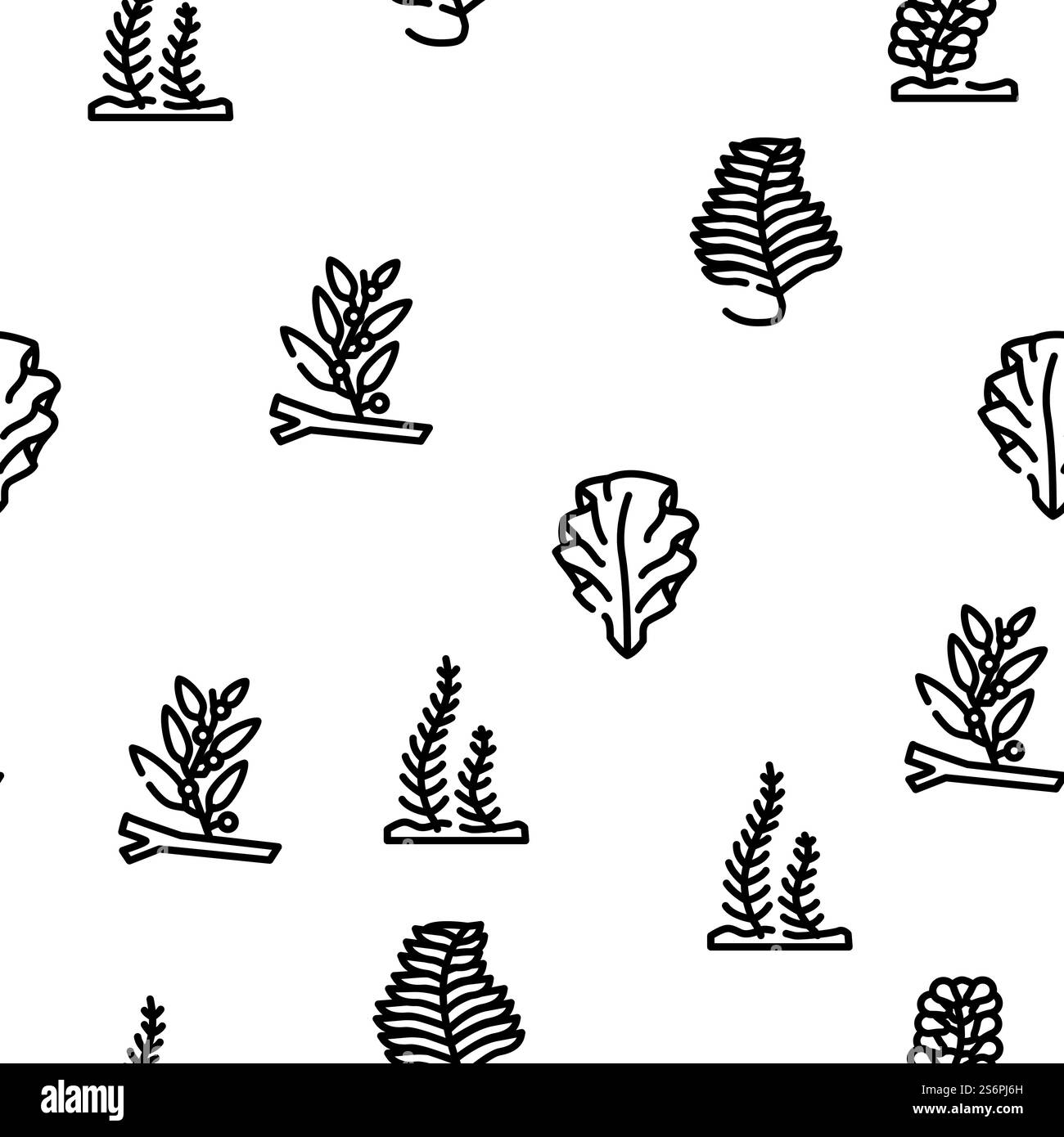 Seaweed Sea Underwater Plant Vector Seamless Pattern Thin Line ...