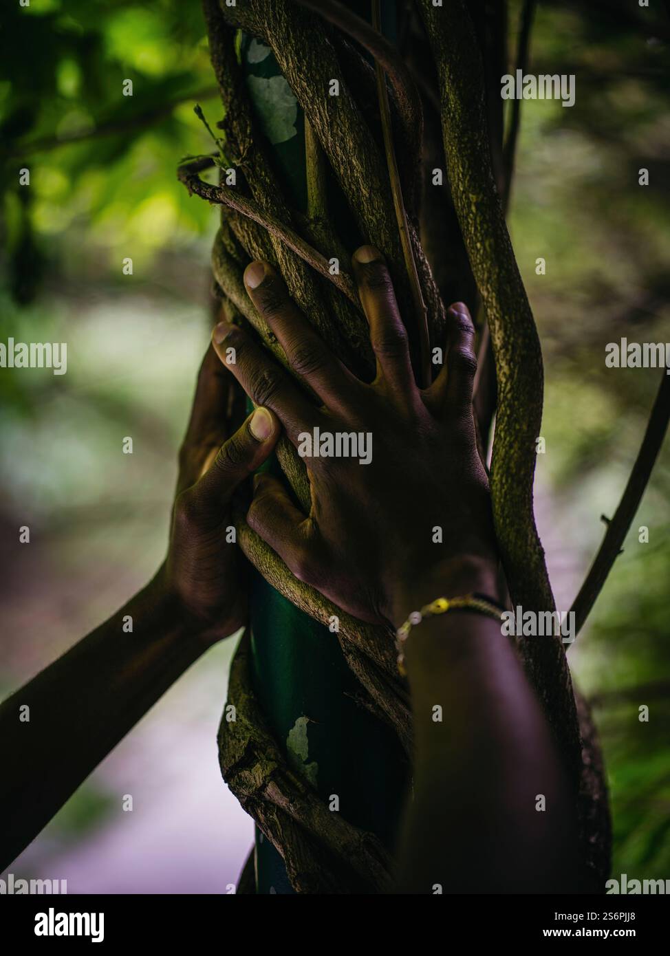 Two hands on intertwined roots Stock Photo - Alamy