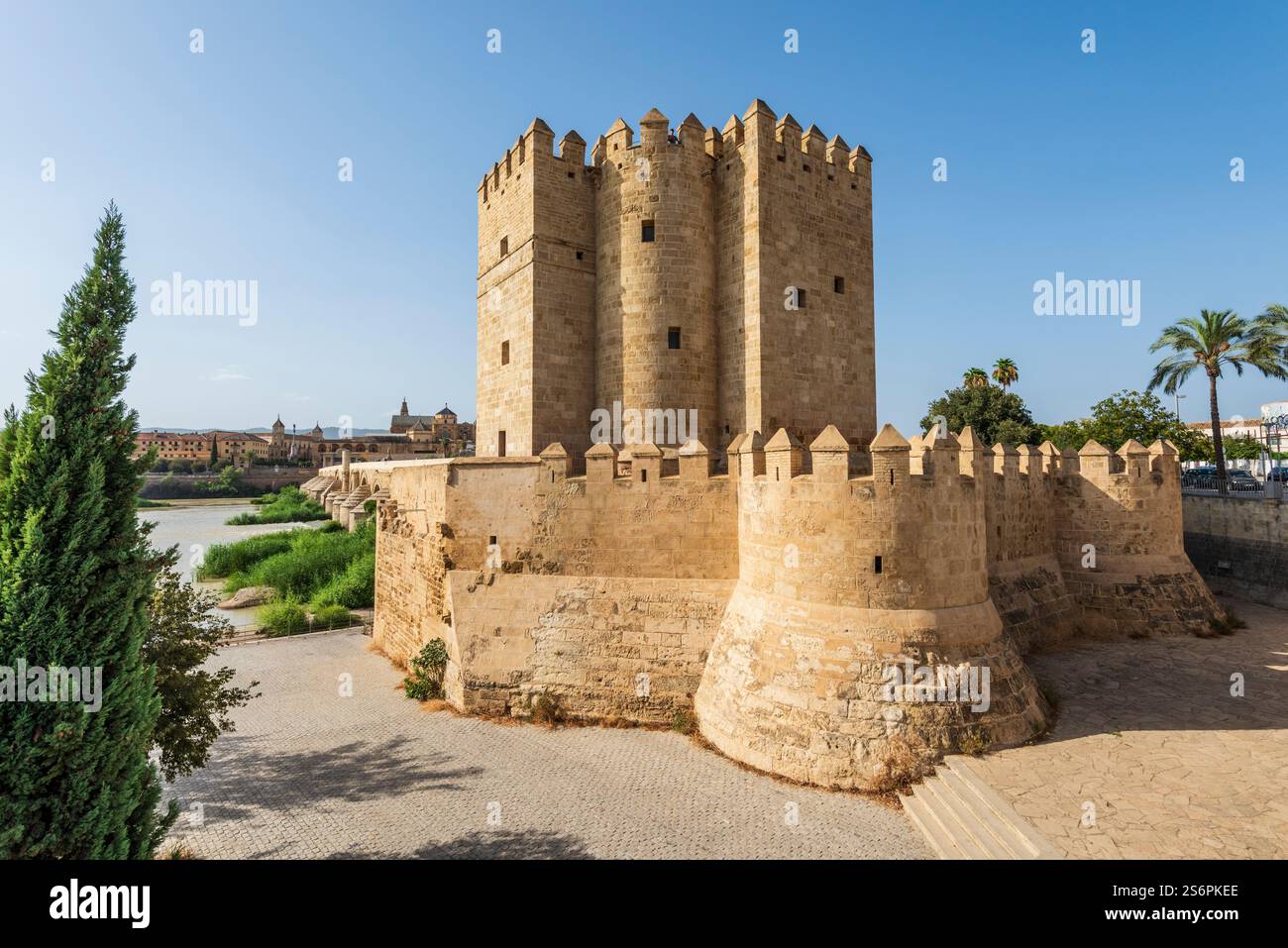 Torre de la Calahorra, Puente Romano and Mezquita Cathedral on the ...