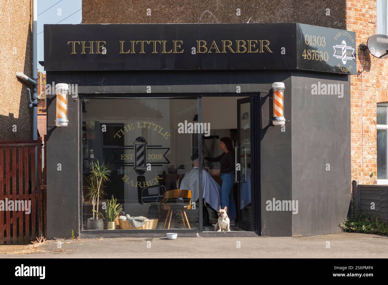 England, Kent, Hythe, Small Dog sitting in the entrance to The Little ...