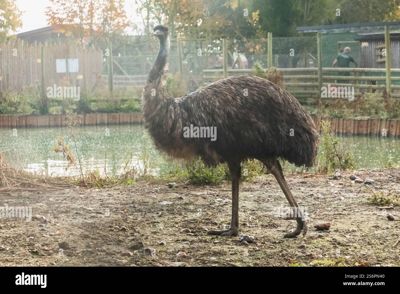 Kent wildlife hi-res stock photography and images - Alamy
