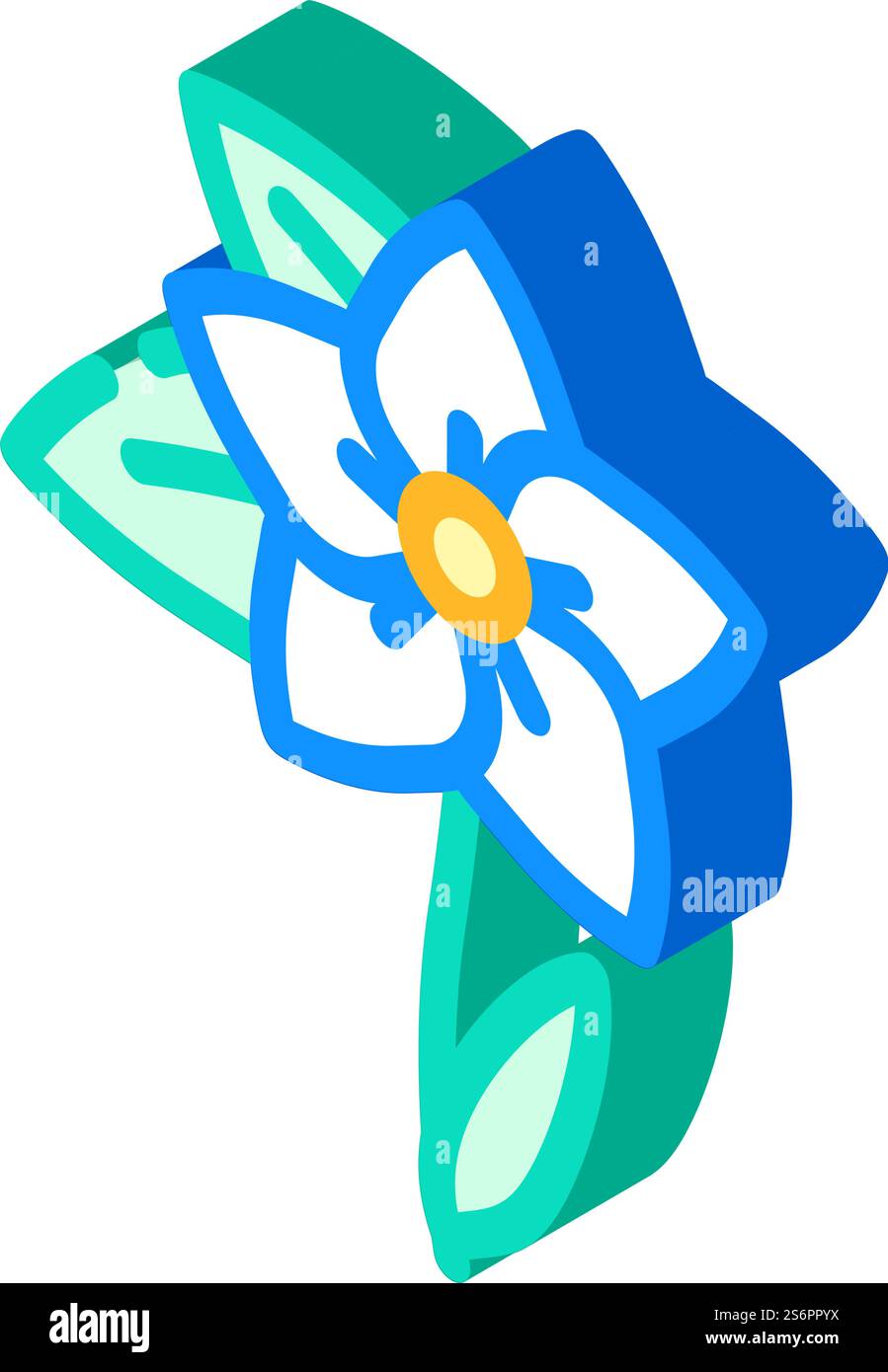 jasmine flower isometric icon vector. jasmine flower sign. isolated ...