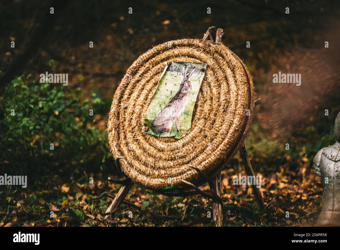 A picture of a rabbit is on a target. The rabbit is in the center of ...