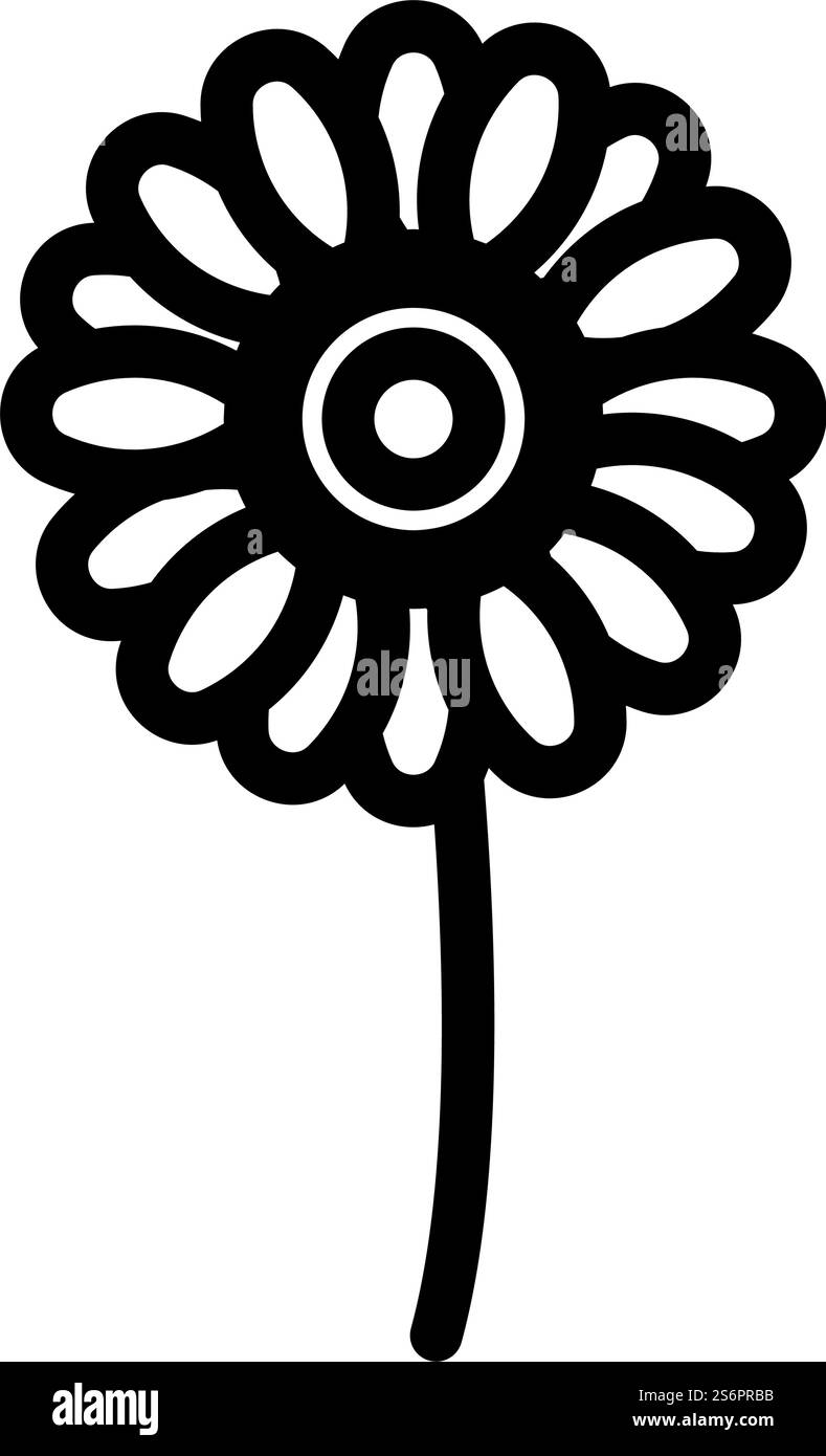 Gerbera daisy growing Black and White Stock Photos & Images - Alamy