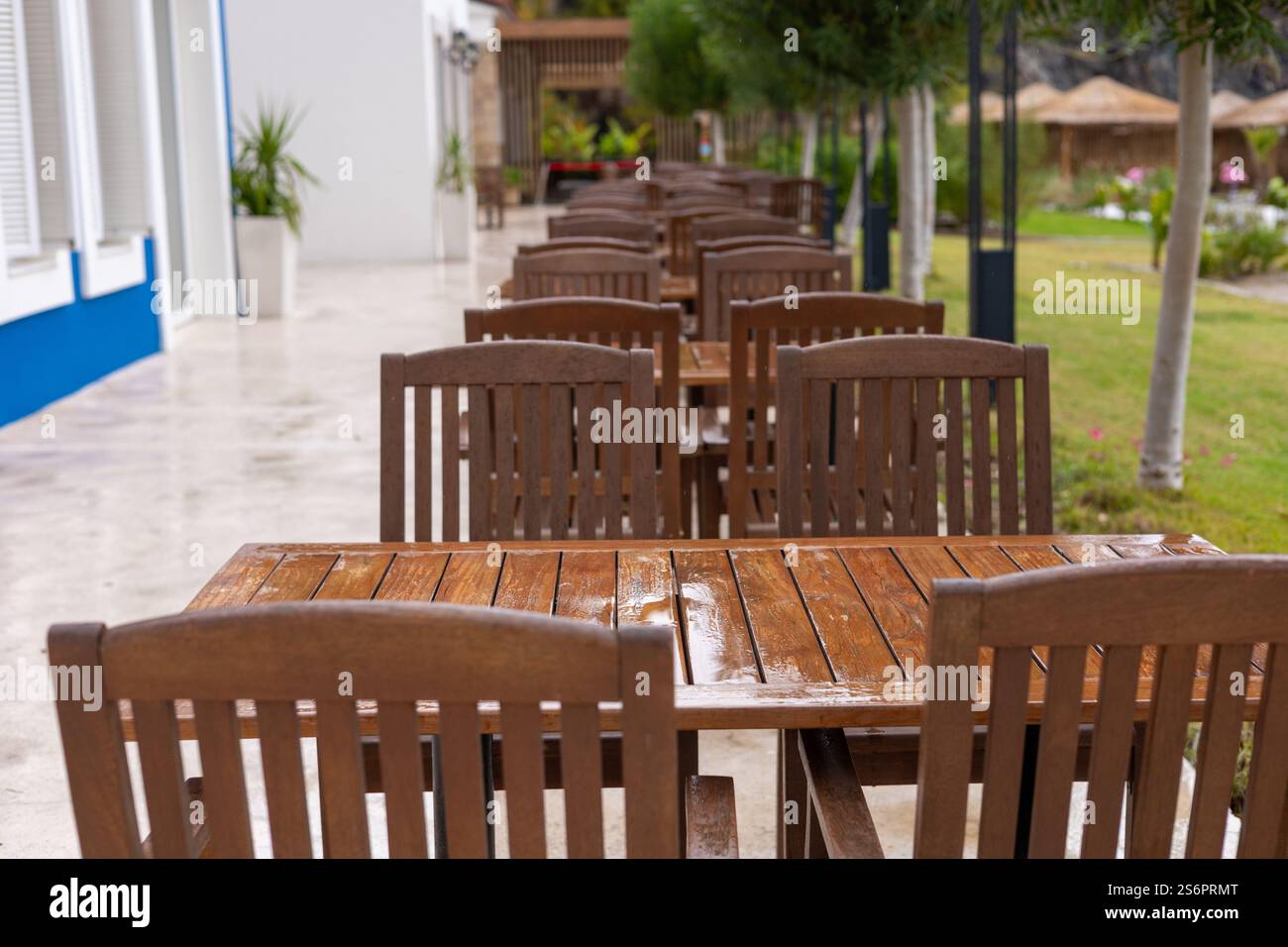 Series of empty wooden tables lined up in a garden setting after rain ...