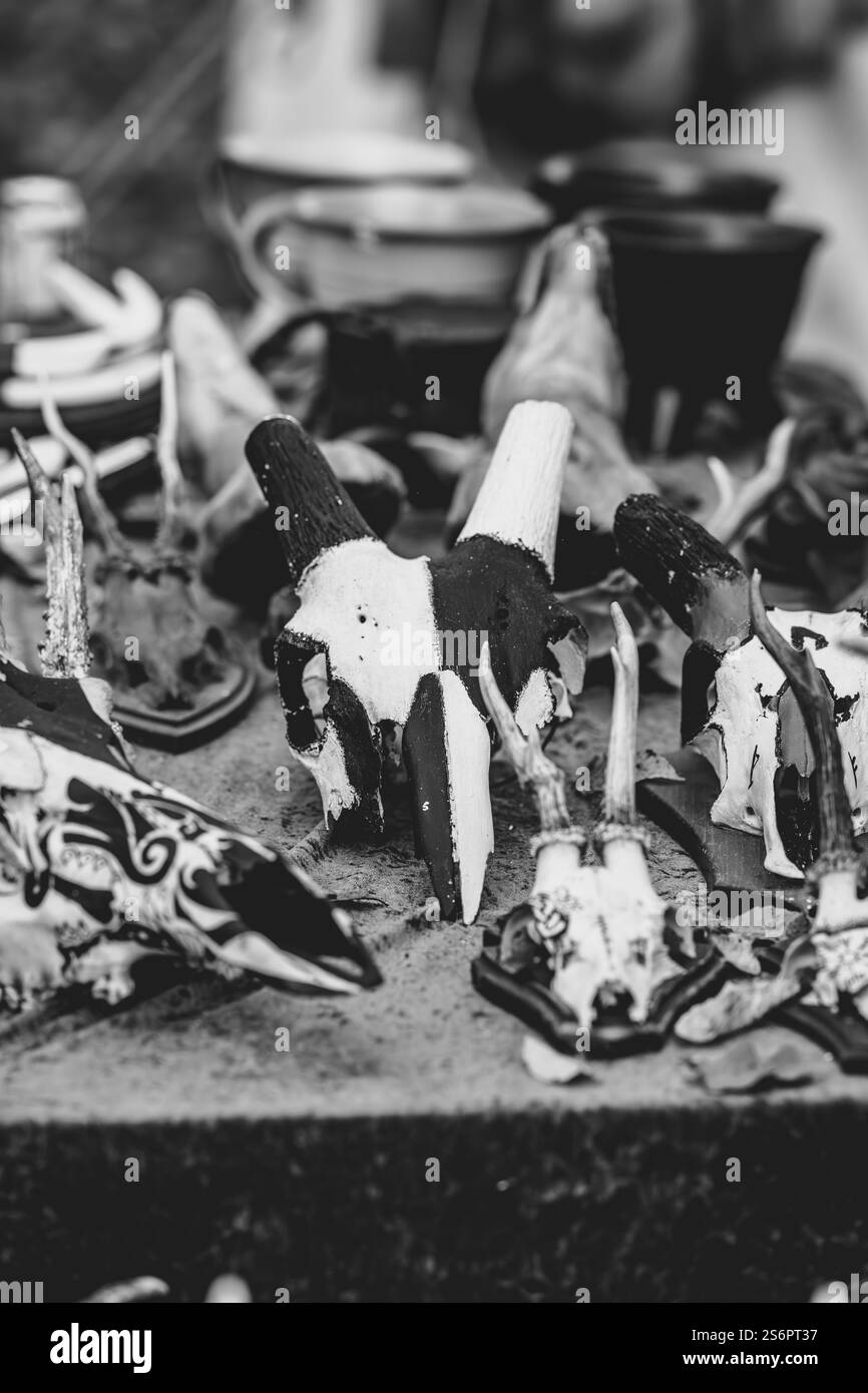 A table full of skulls and bones, some of which are painted. The skulls ...