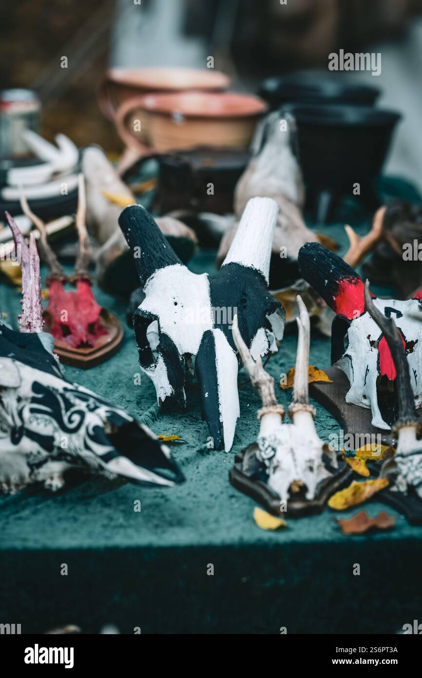 A table full of skulls and antlers, some of which are painted. The ...
