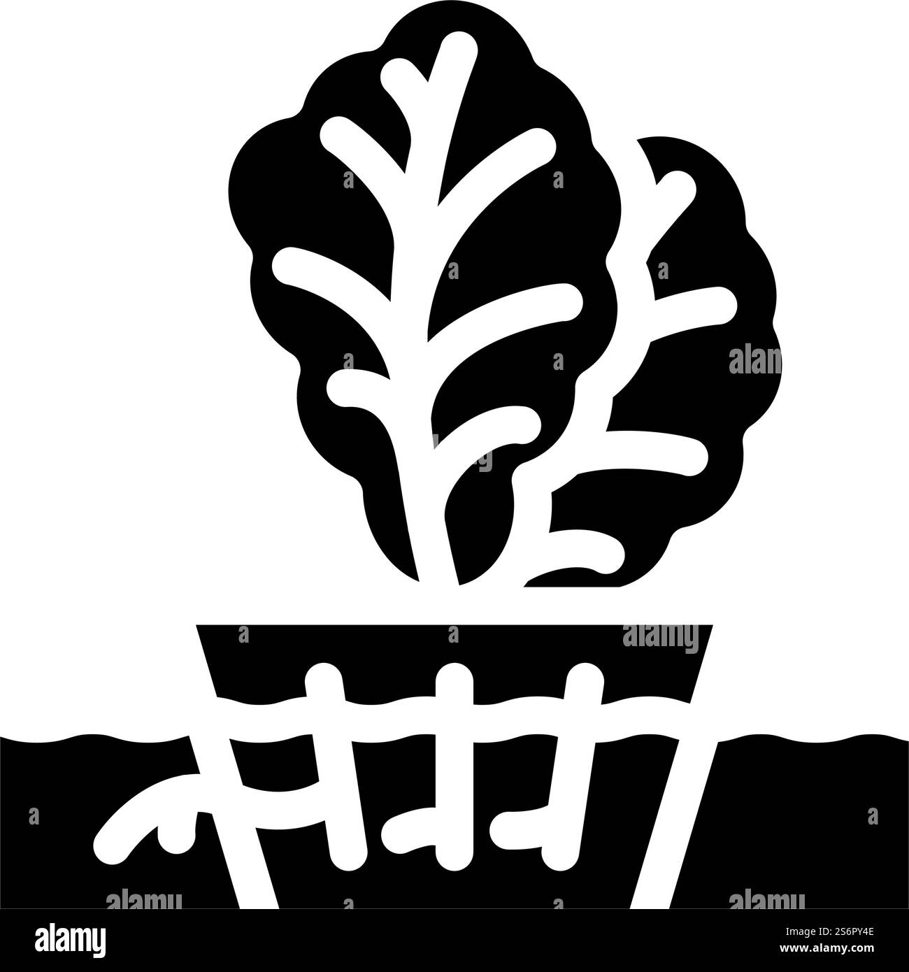 hydroponics agricultural plant glyph icon vector. hydroponics ...