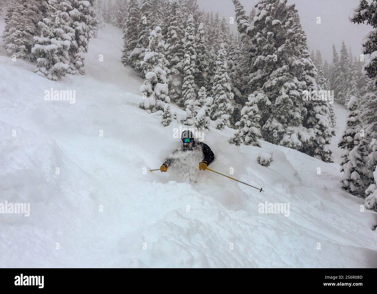 David Paul skis his way through deep snow at Alta Ski Area in Utah on ...