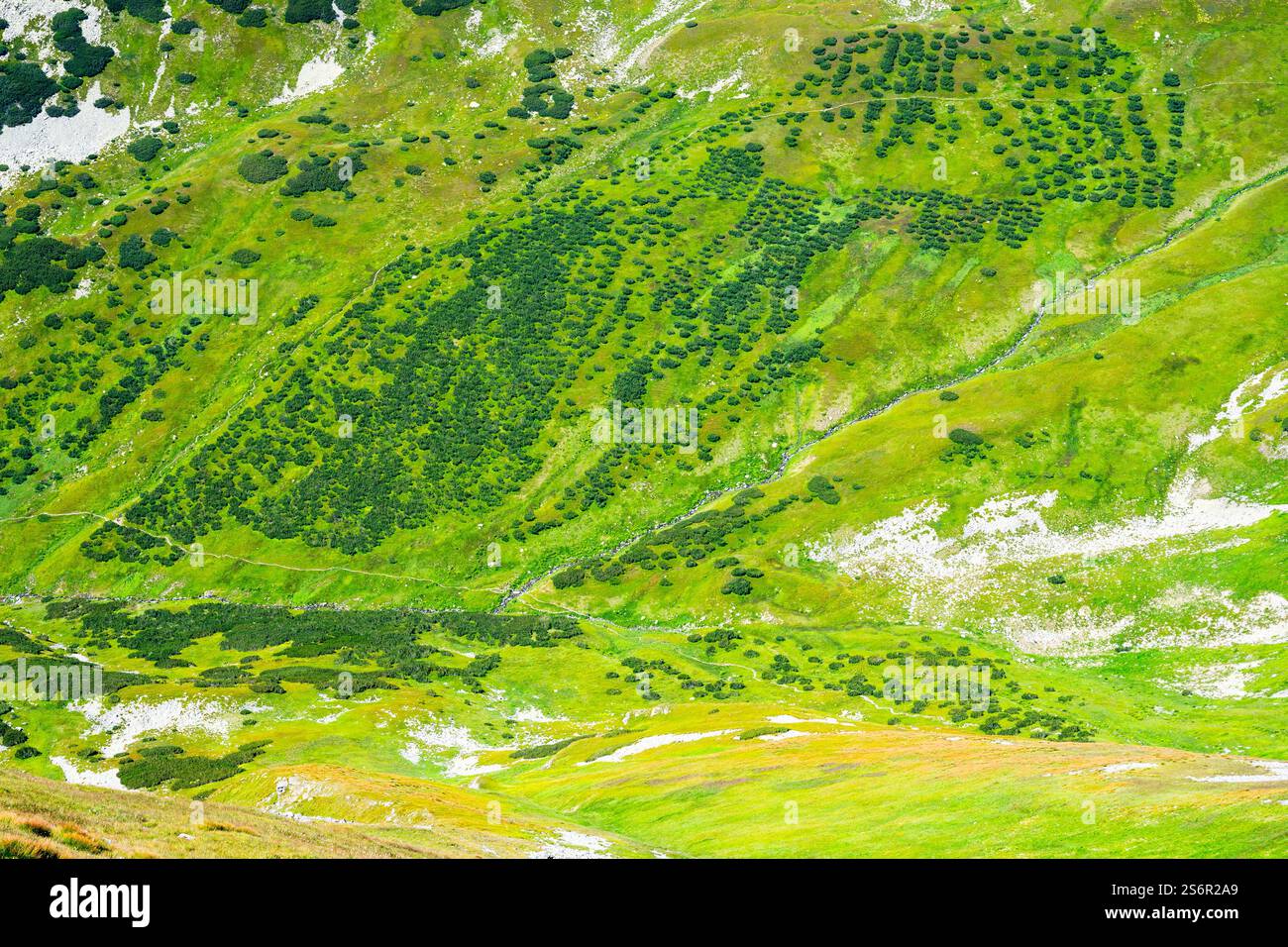 Slopes showcase hi-res stock photography and images - Alamy