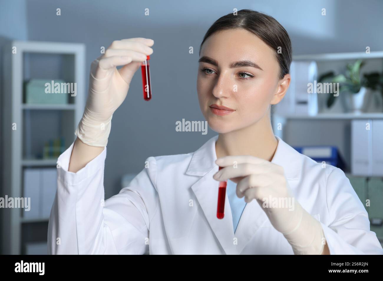 Laboratory testing. Doctor holding test tubes with blood samples ...