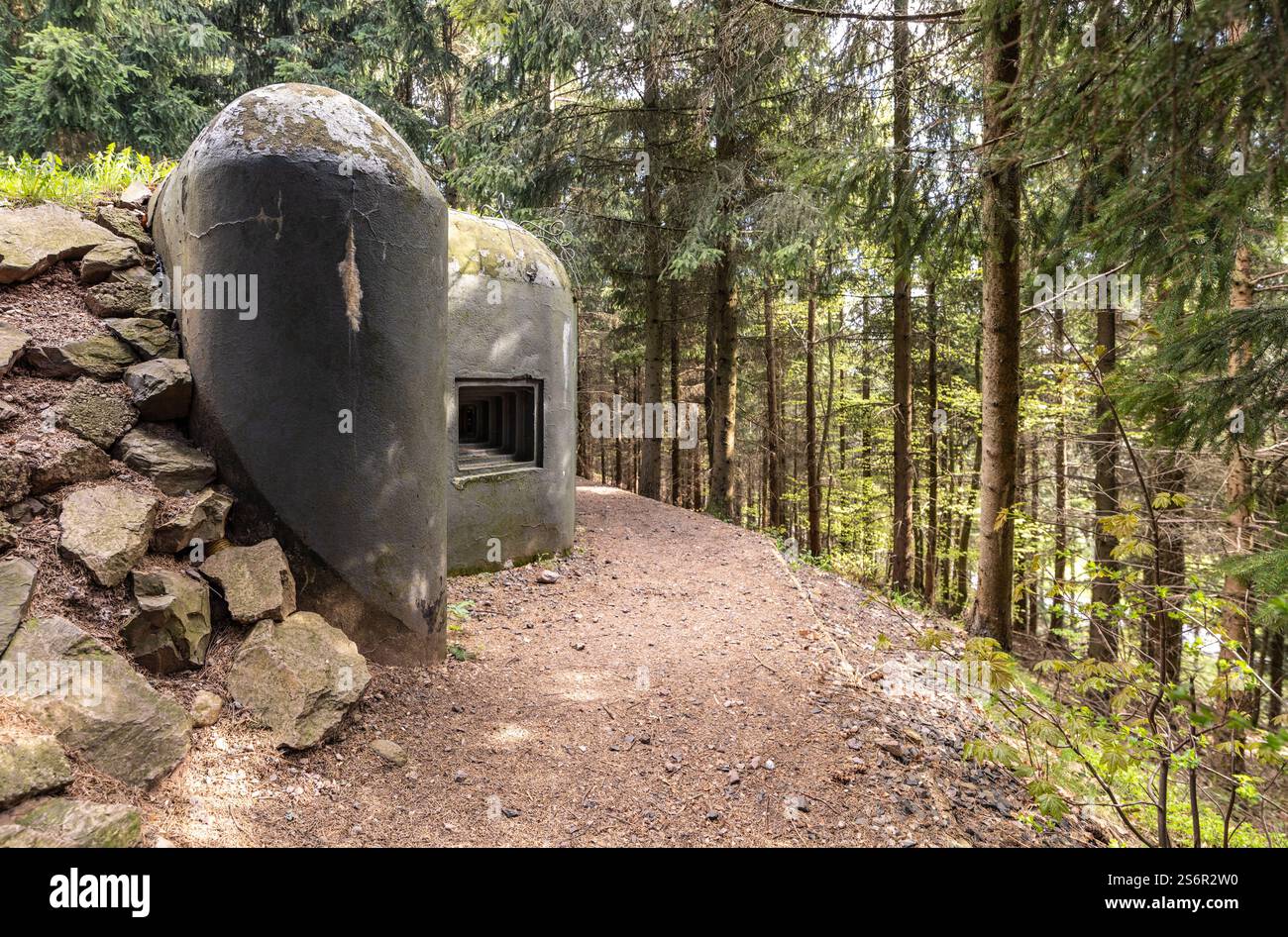 Czechoslovak border fortifications stand robustly in a dense forest ...