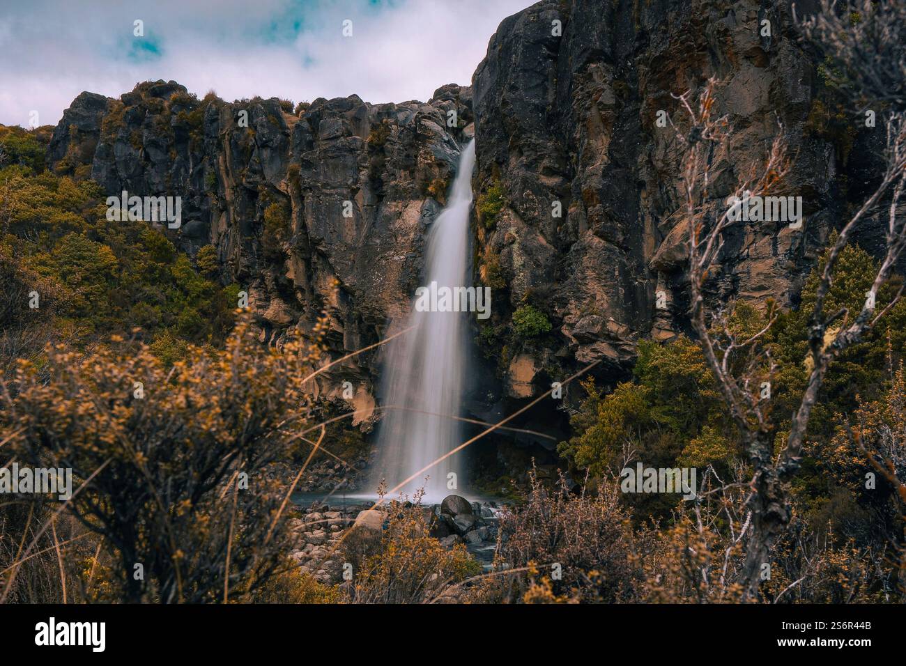 The Taranaki Falls waterfall plunges around 20 meters over a cliff in ...