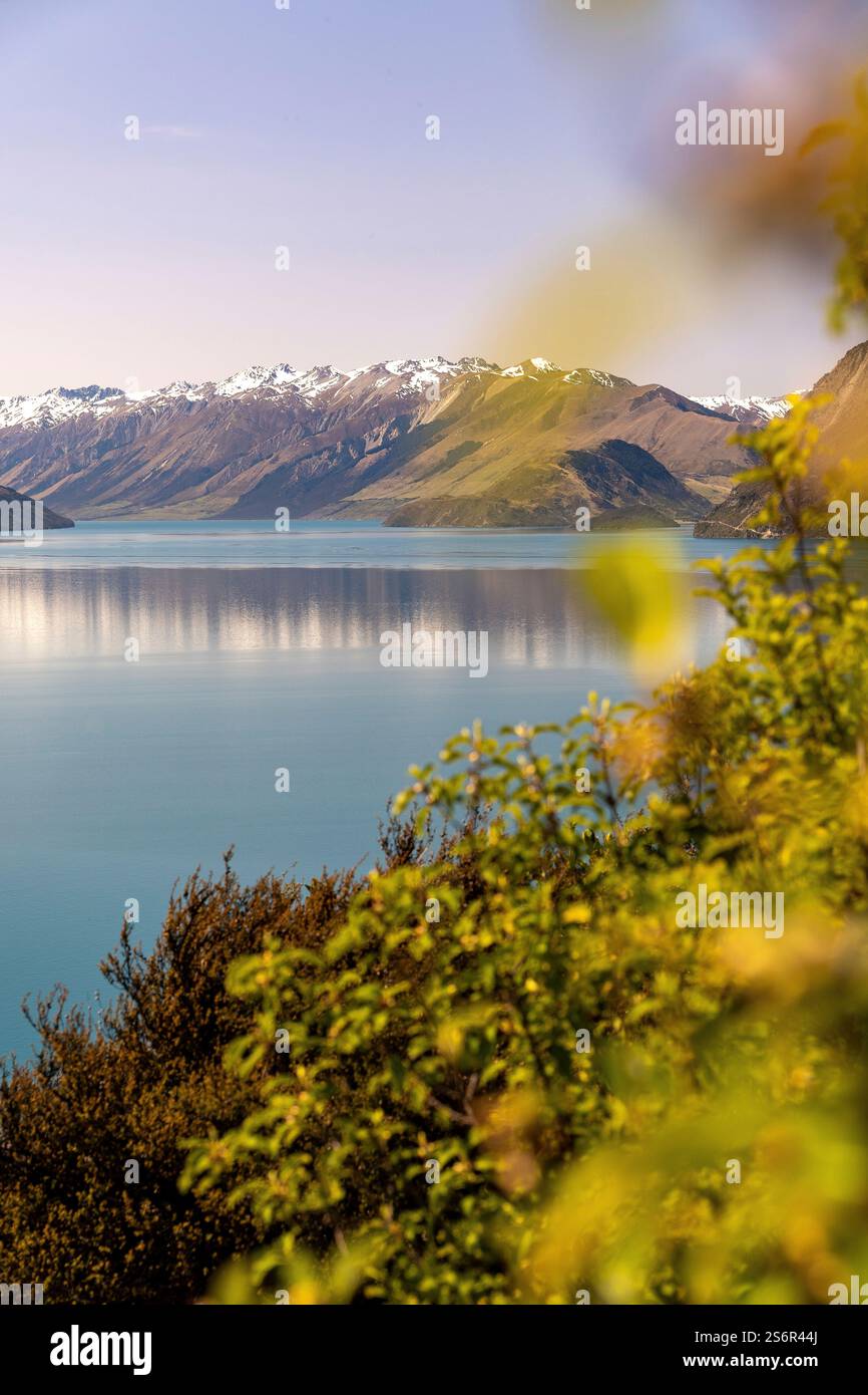 View past plants on the shores of Lake Hawea on New Zealand's South ...