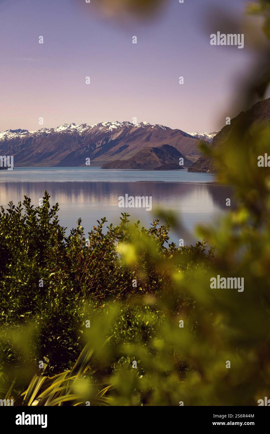 View past plants on the shores of Lake Hawea on New Zealand's South ...