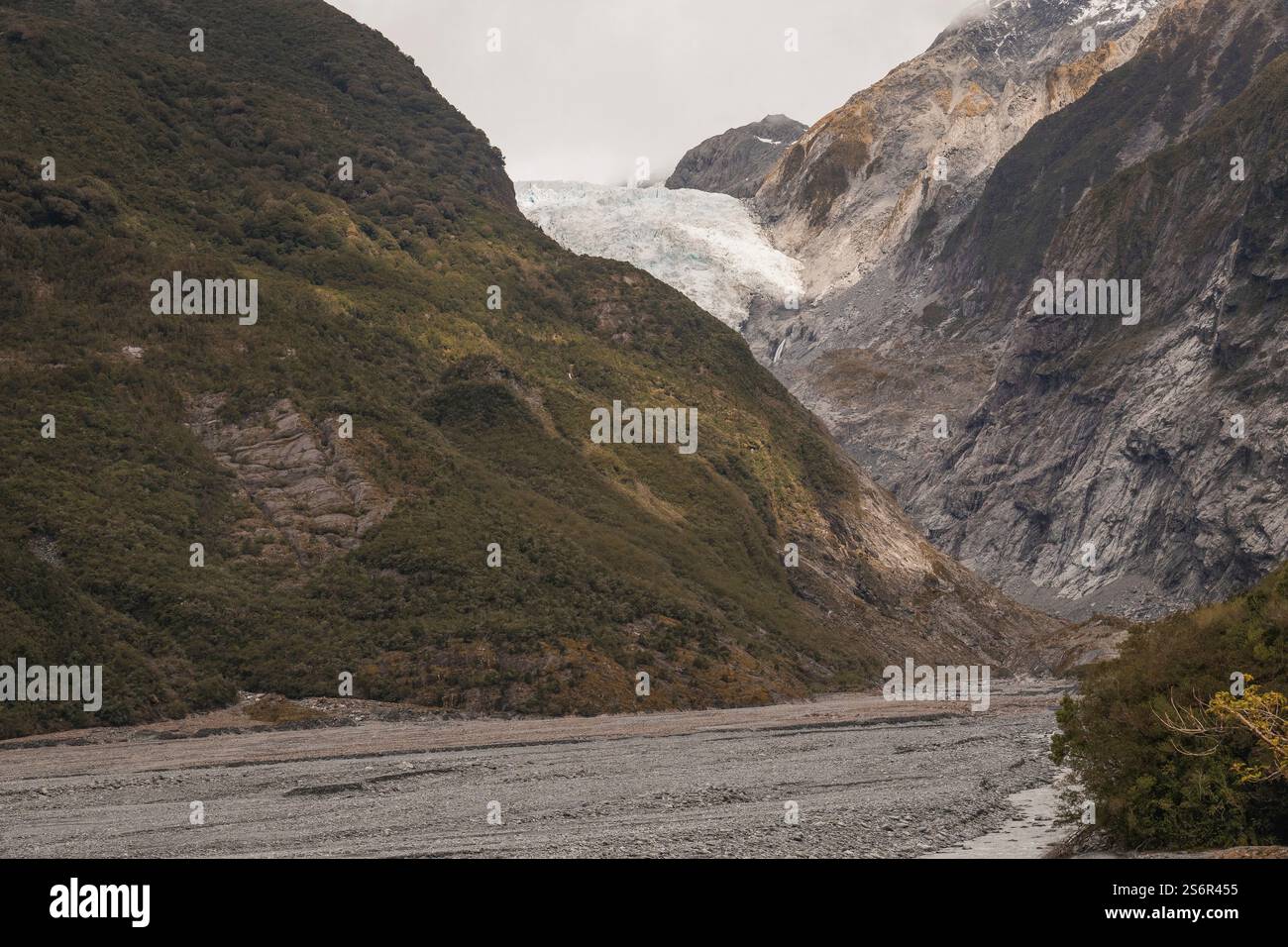 View of the Franz Josef Glacier in the New Zealand Southern Alps on the ...