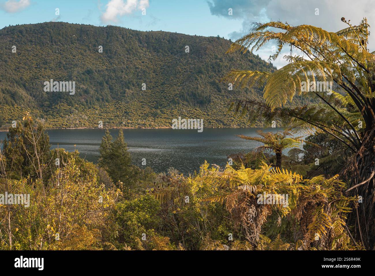 View of Lake Rotokakahi, also known as Green Lake. The crater lake near ...
