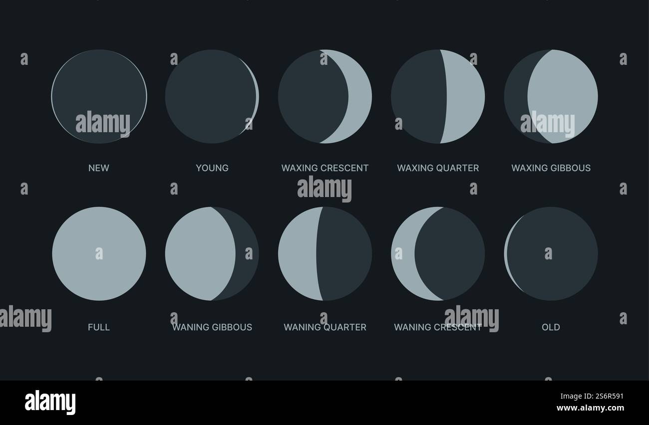 Moon phases. Night symbols for moon calendar circle round shapes logos ...
