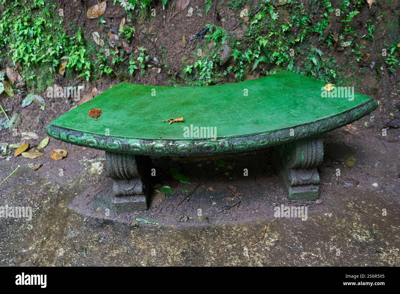 La Fortuna, Costa Rica - November 20, 2024 - the Mistico Arenal Hanging ...