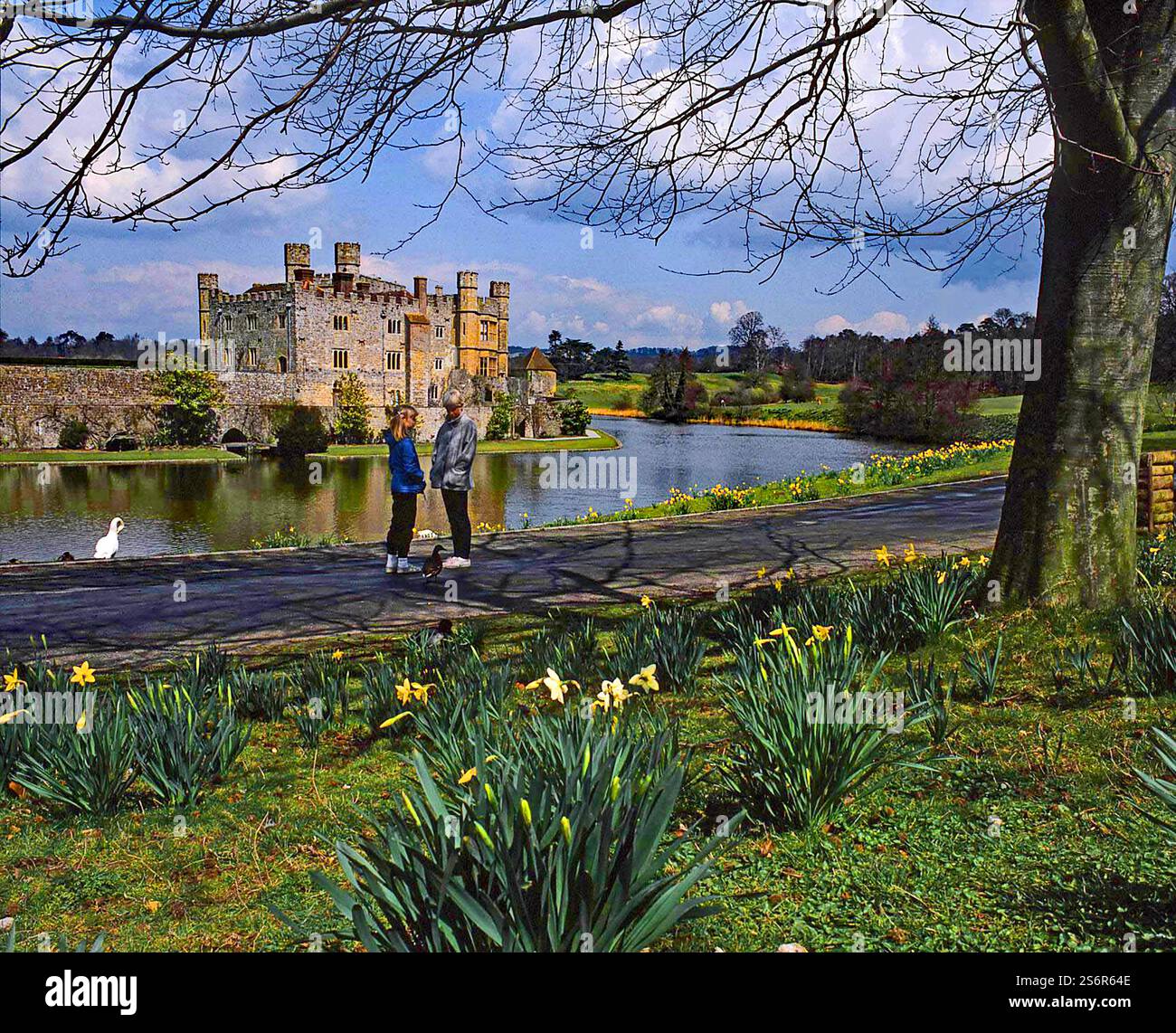 Springtime at Leeds Castle, Kent. UK Stock Photo - Alamy