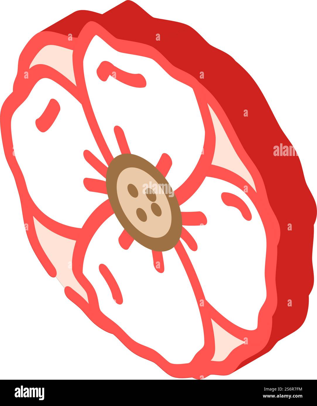 day of remembrance isometric icon vector. day of remembrance sign ...