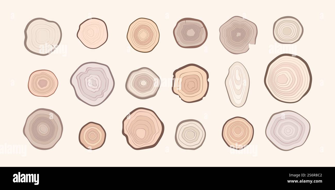 Wooden rings collection. Tree stylized rings natural textural surfaces ...