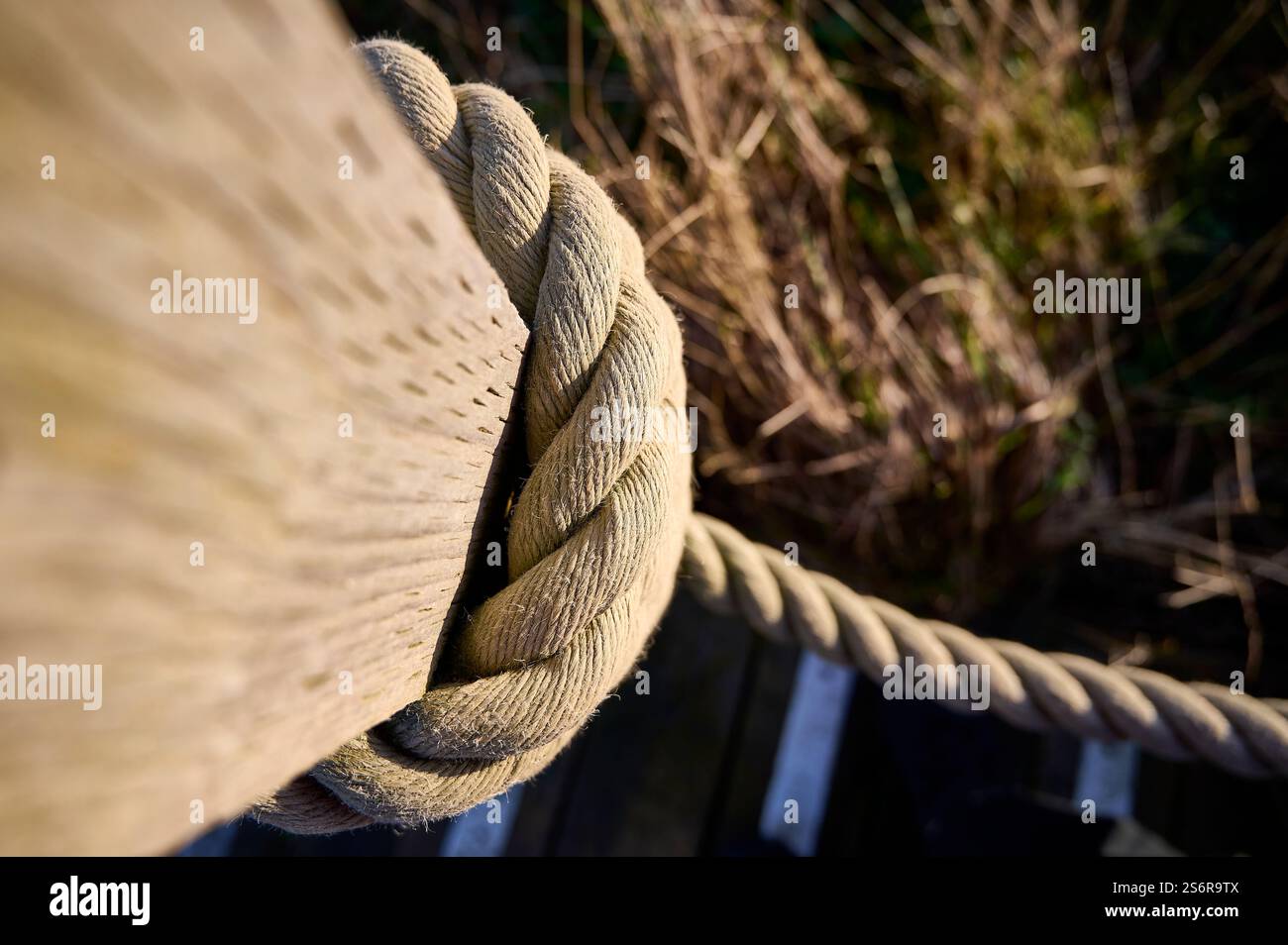 Thick rope tied round wooden stake Stock Photo - Alamy
