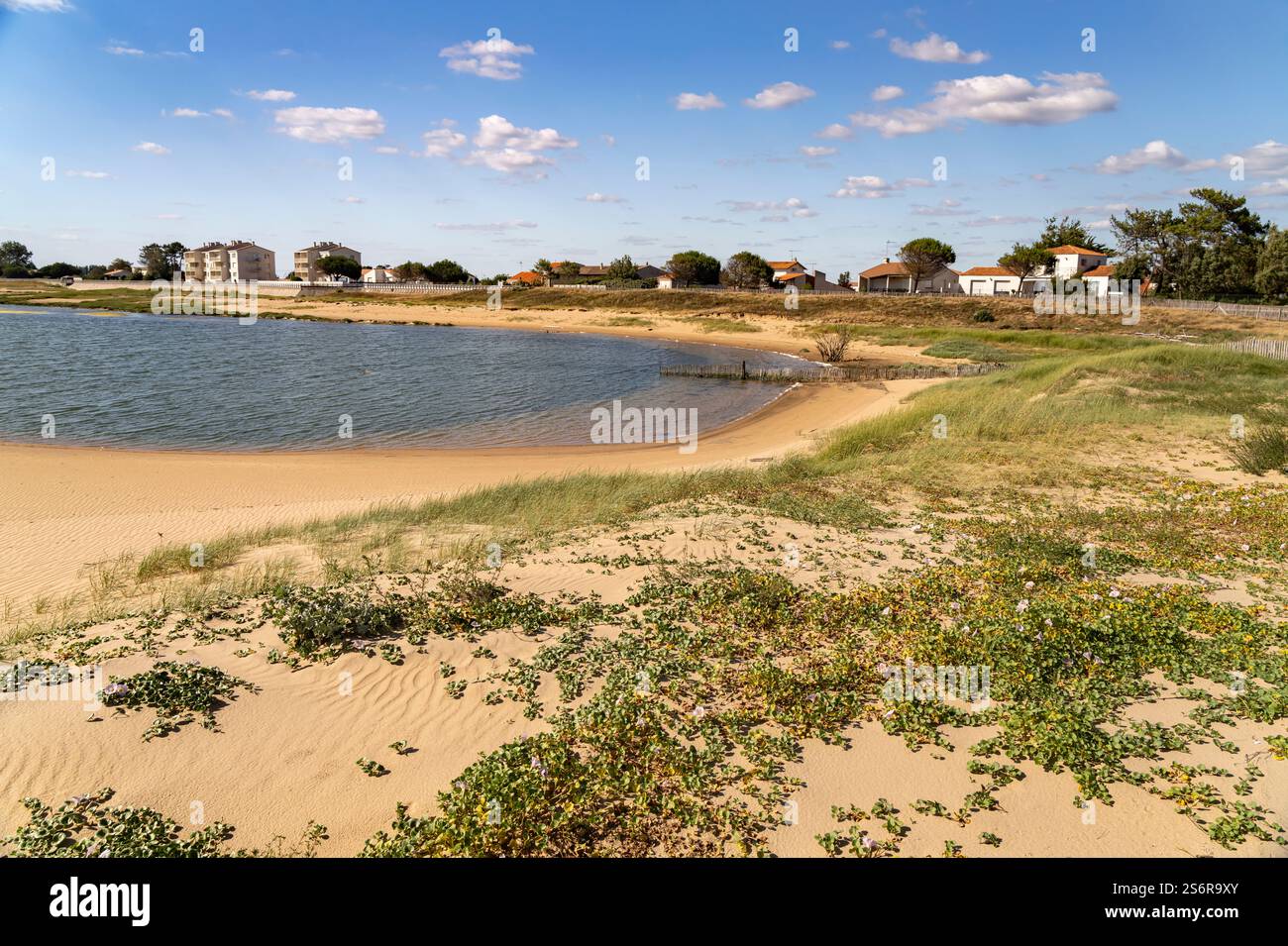 Beach And Lagoon At The Belle Henriette L Aiguillon la Presqu ile beach-and-lagoon-at-the-belle-henriette-l-aiguillon-la-presqu-ile