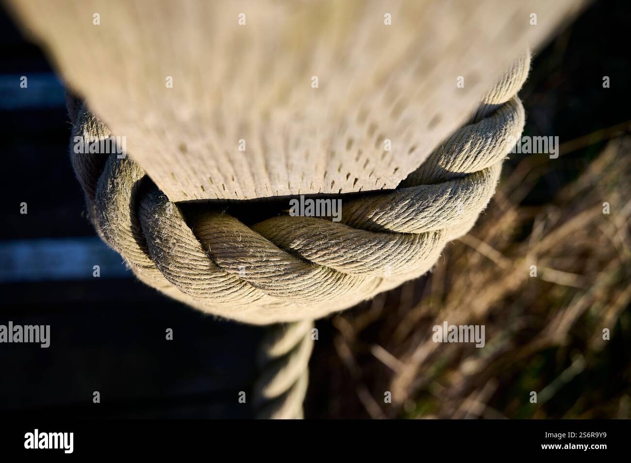 Thick rope tied round wooden stake Stock Photo - Alamy