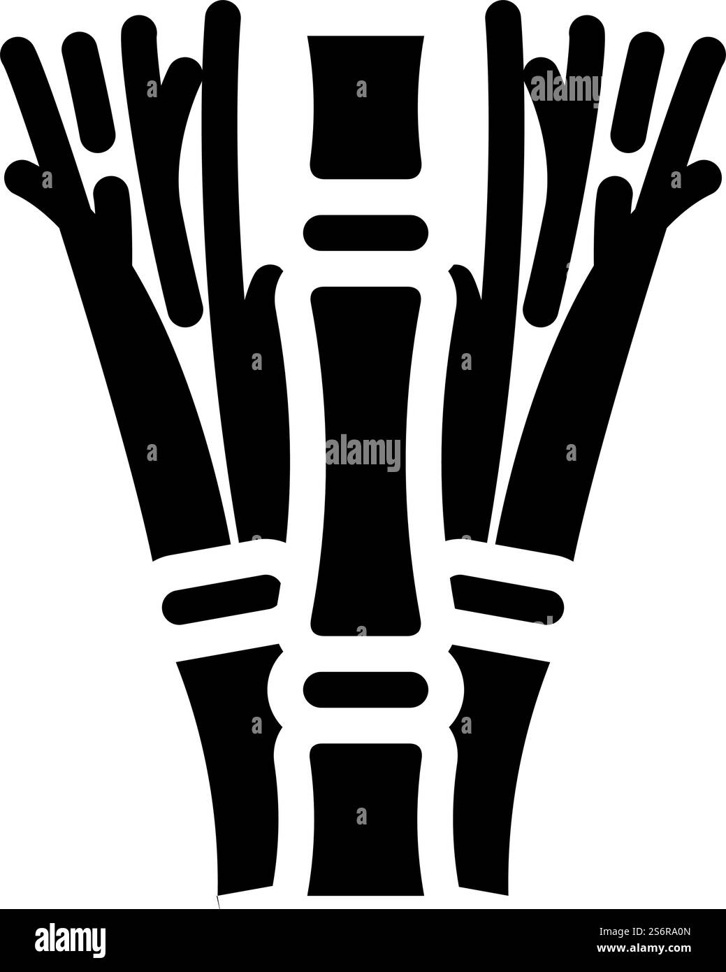 bamboo sticks glyph icon vector. bamboo sticks sign. isolated contour ...