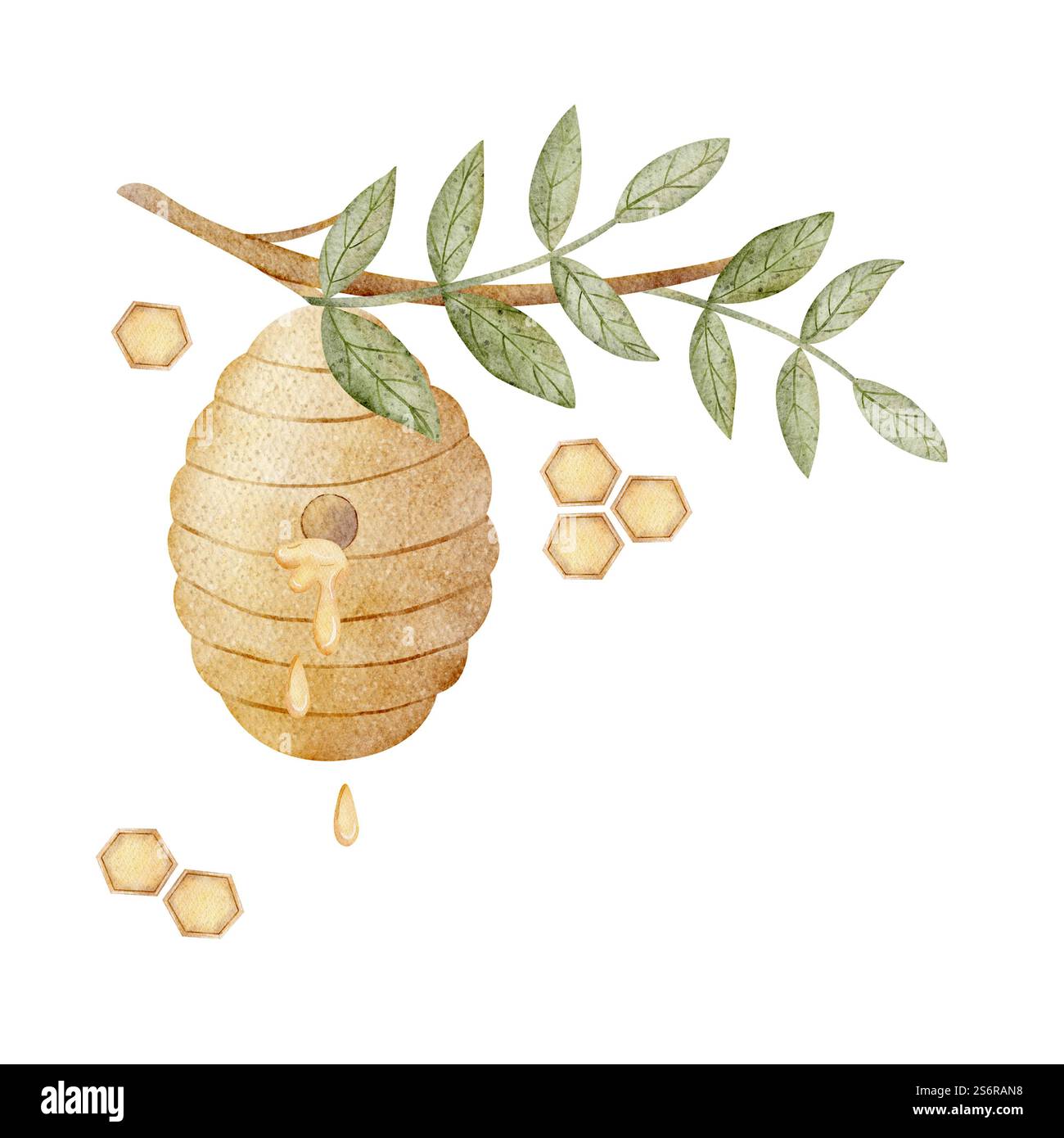 Watercolor illustration of beehives, honeycomb, bee house on a branch ...