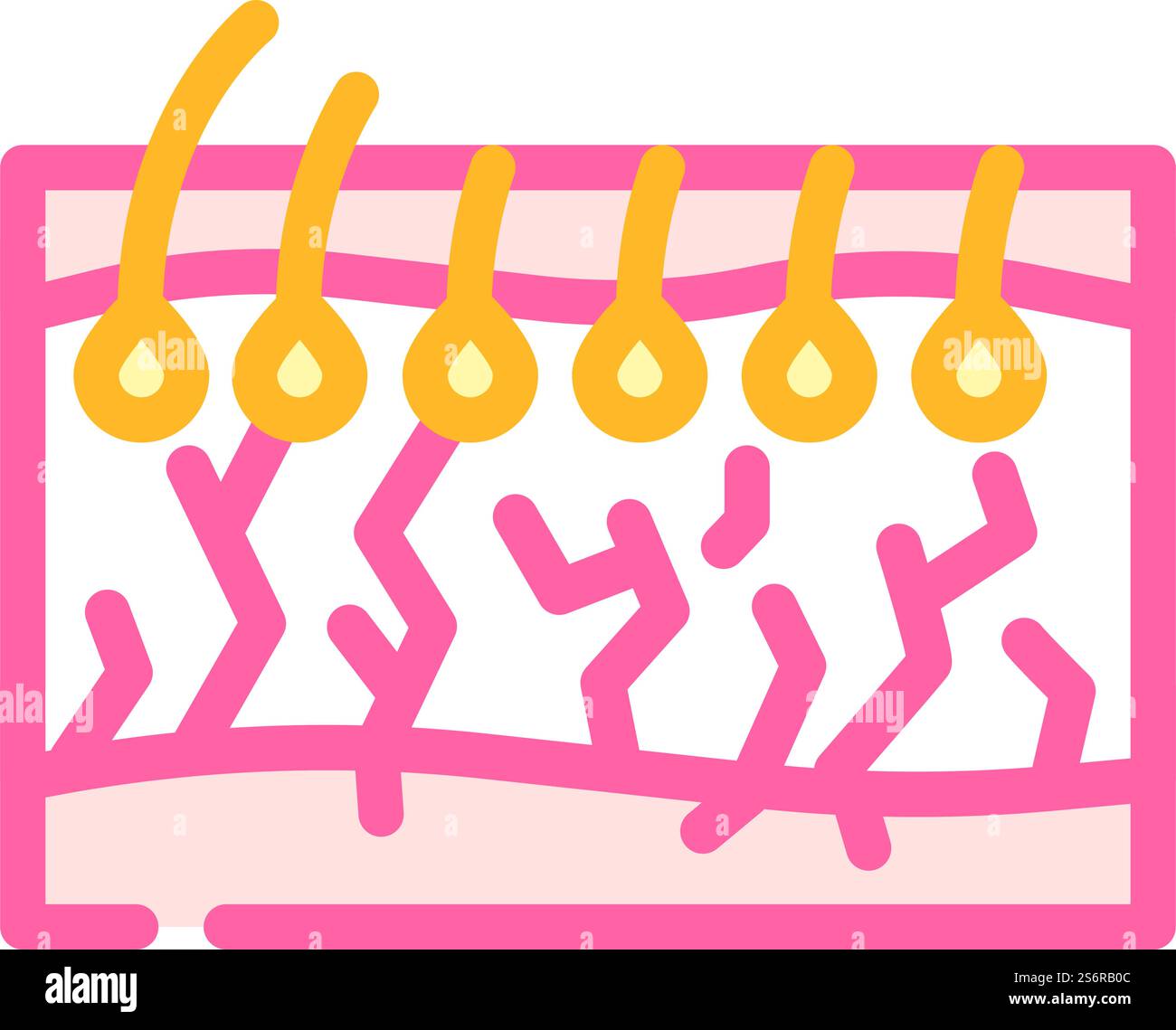 shave hair color icon vector. shave hair sign. isolated symbol ...